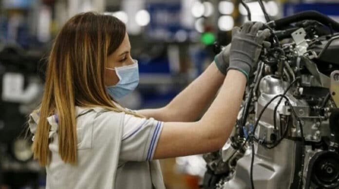 Programa Repro II: modificaciones, adaptaciones y aclaraciones al ...